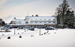 Julefrokostguide Odense 2025 - Odense spiseguide